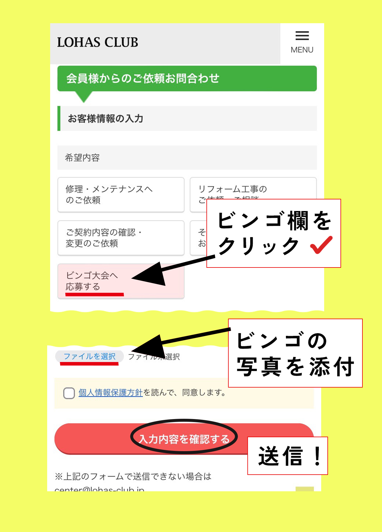 【2025】夏の大ビンゴ大会参加方法!｜LOHAS CLUB